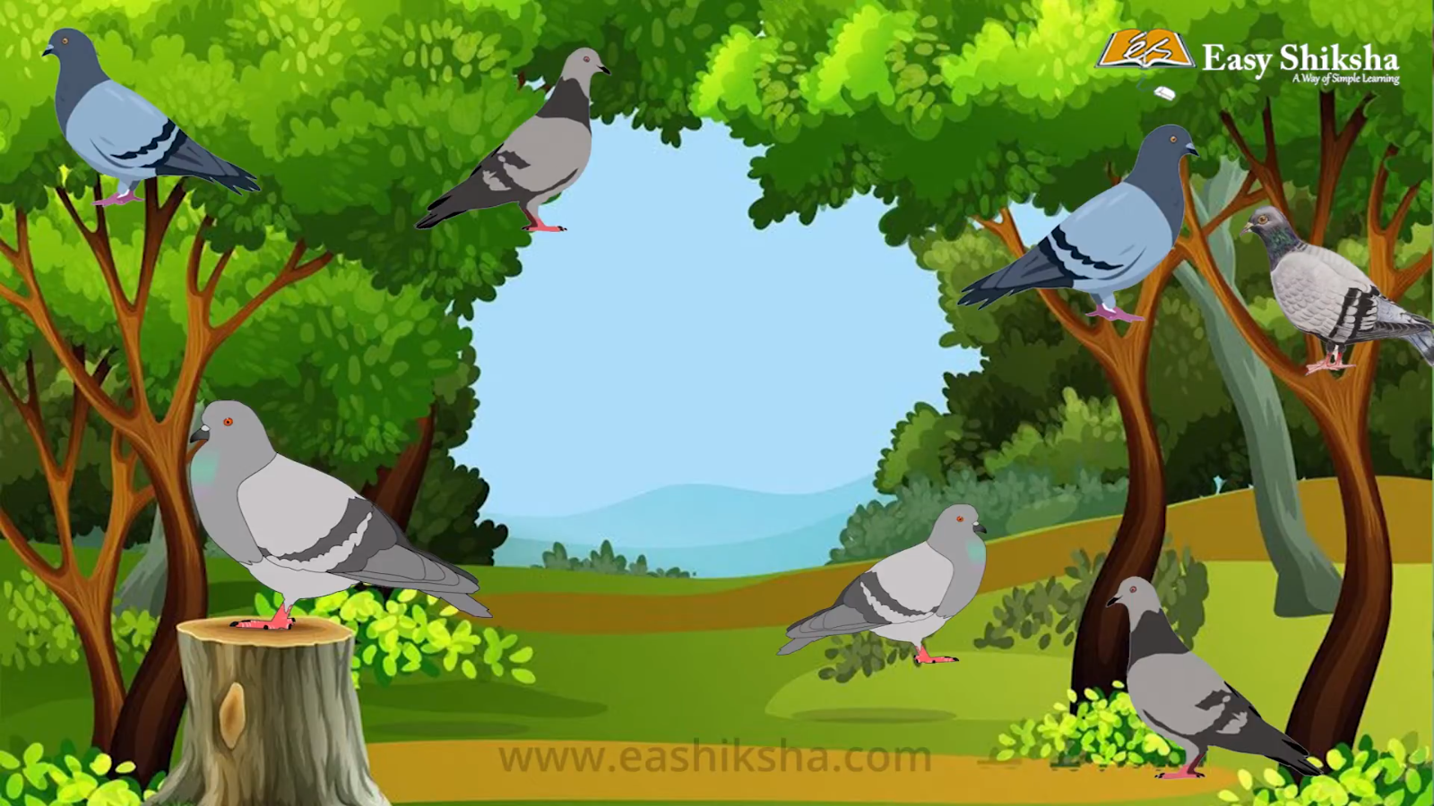 няма изображение